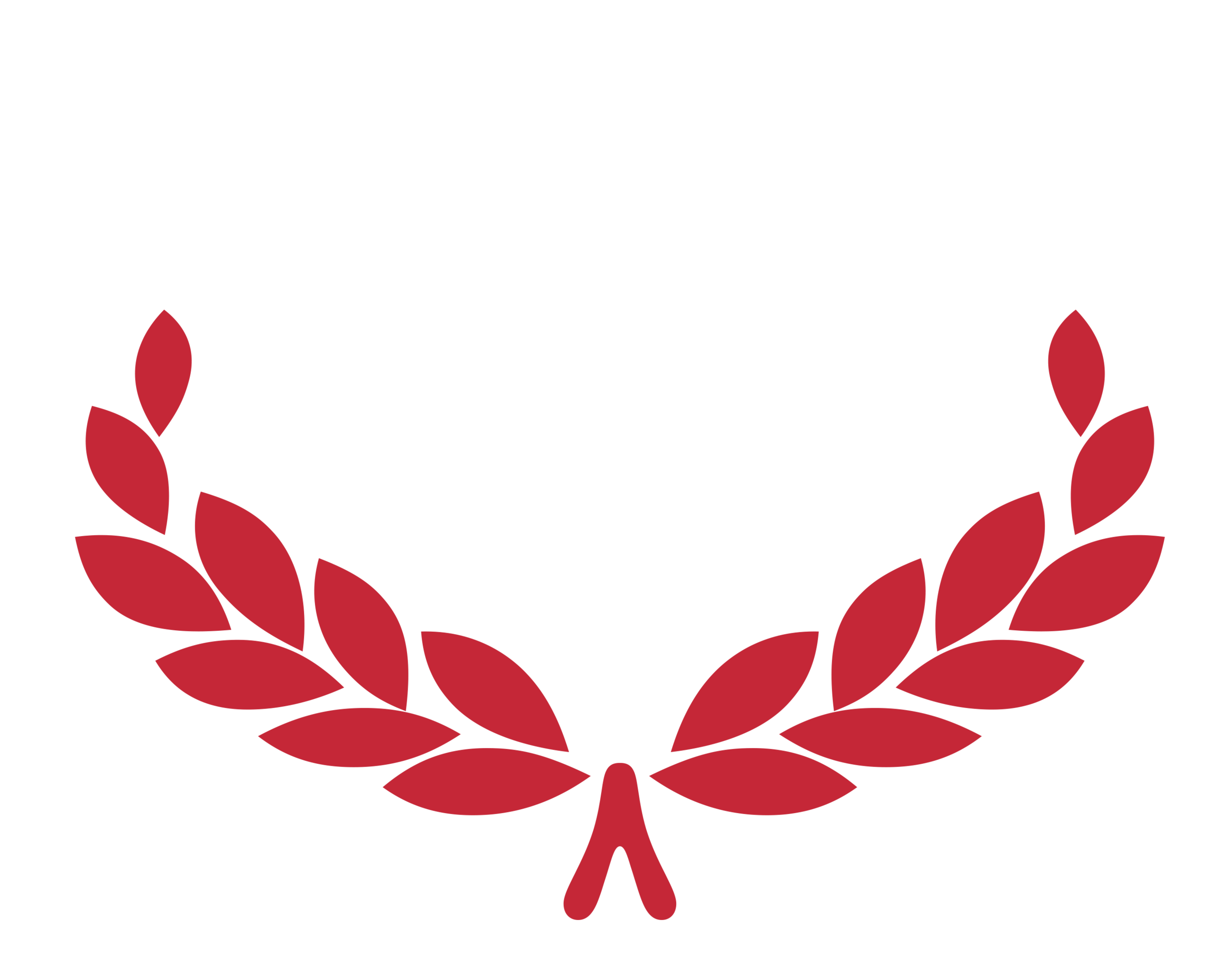 FAQs — MIST Atlanta