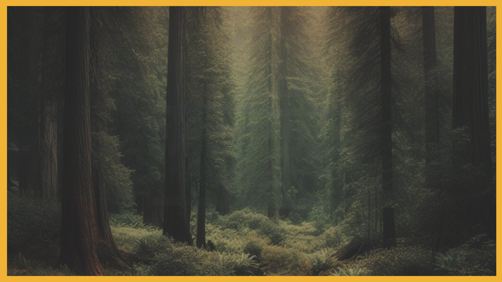 Theme — MIST Atlanta