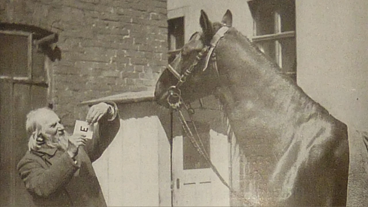 Clever Hans — Darkhorse Analytics | Edmonton, AB