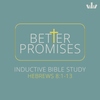 PRECEPT IRELAND - BETTER PROMISES