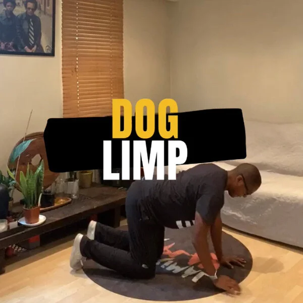 Top 10 Benefits of Animal Moves Workouts