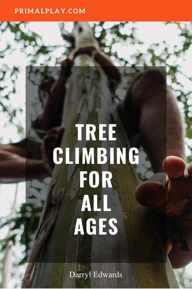 Tree Climbing For All Ages
