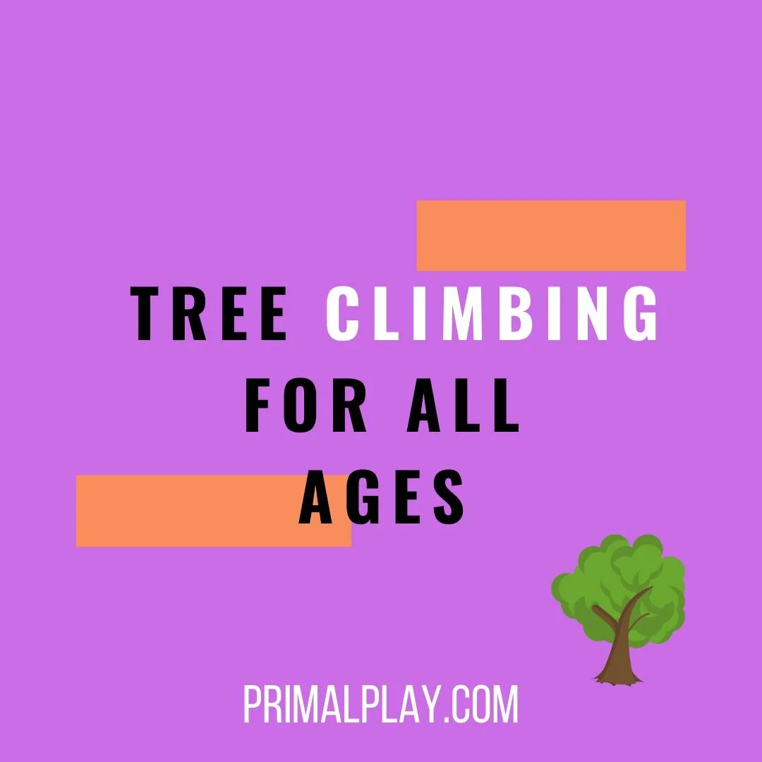 Tree Climbing For All Ages