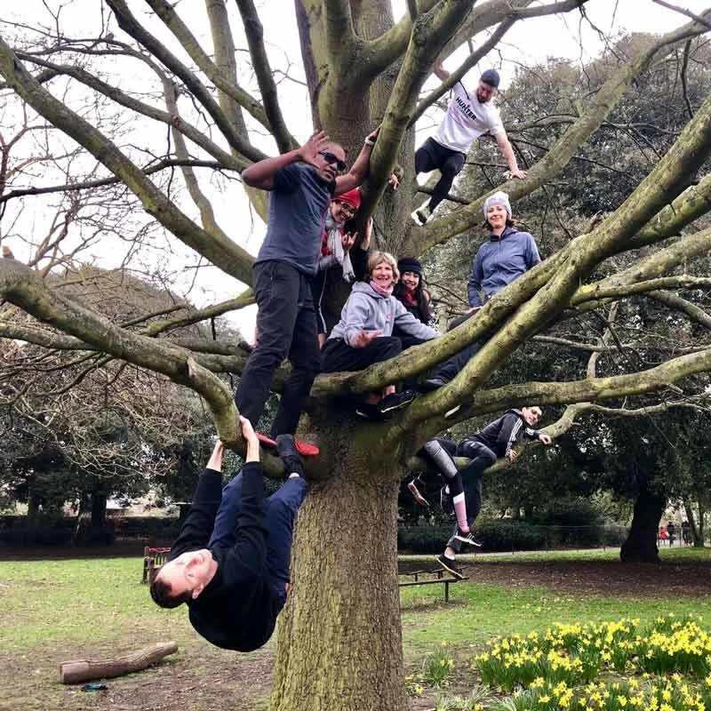 Tree Climbing For All Ages