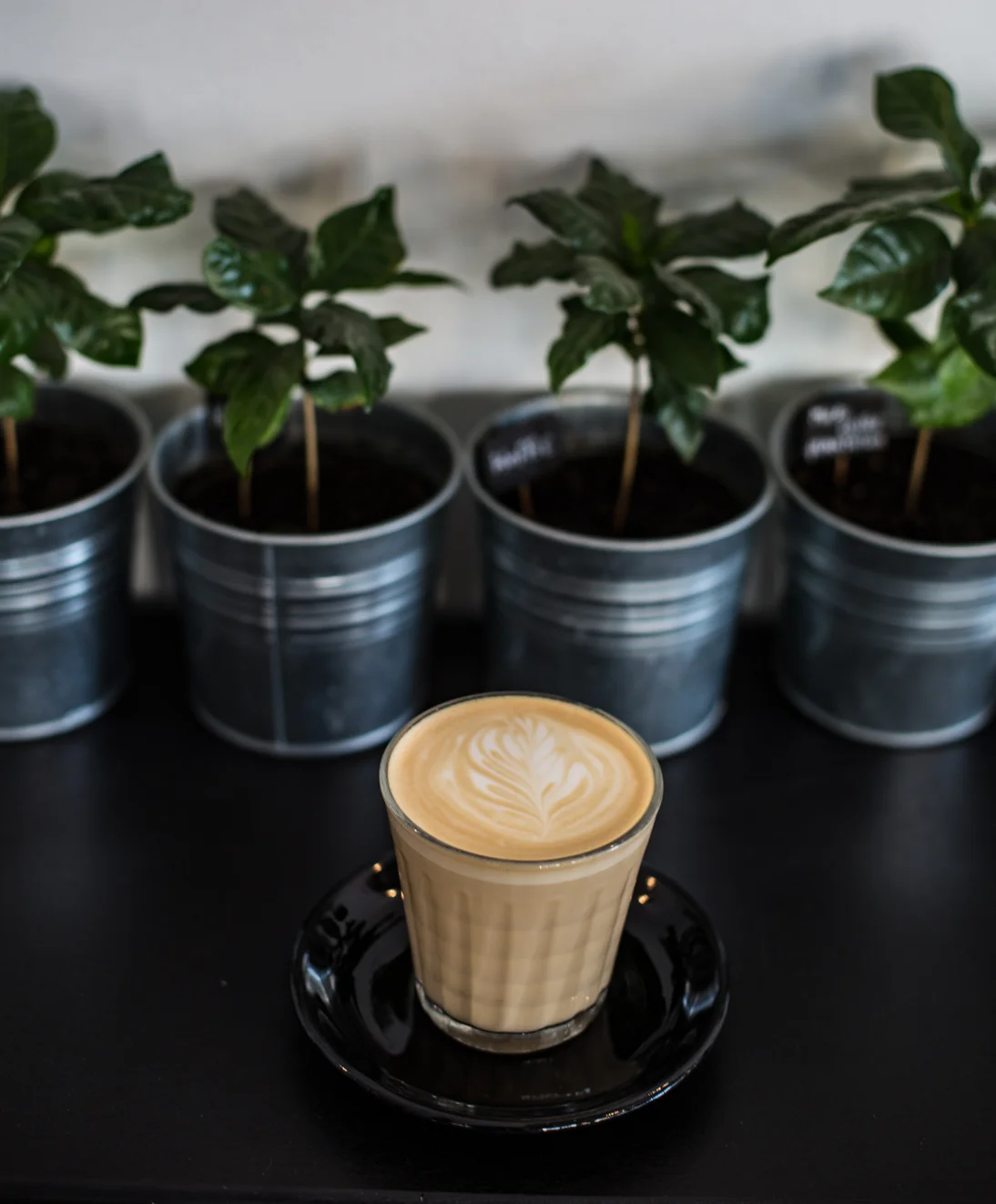 Best Specialty Coffee Shops in Antwerp — The Way to Coffee