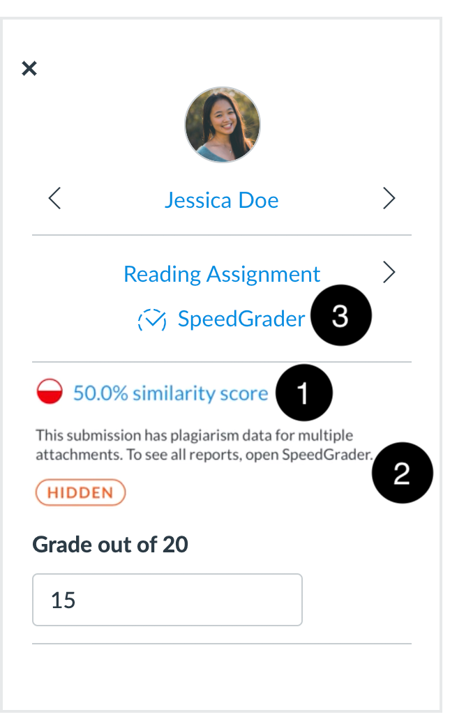 Canvas Instructure Icon