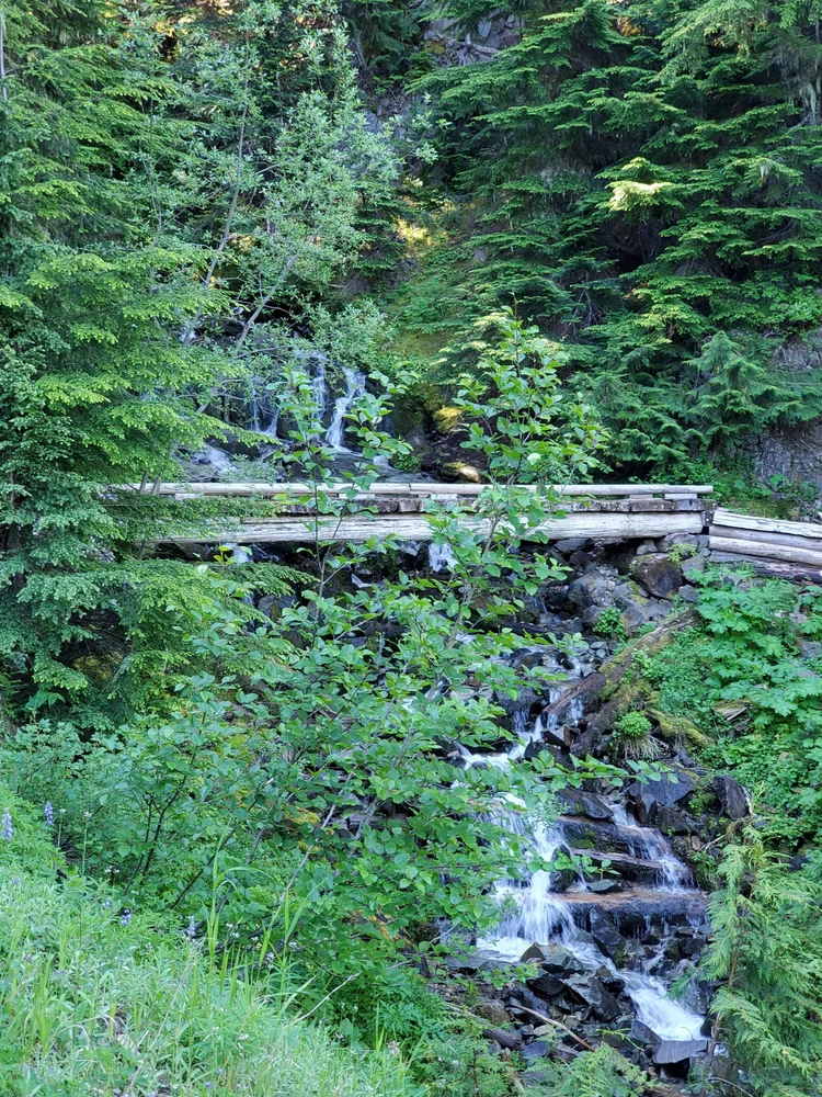 Six Summer Hikes at Crystal Mountain, WA You Will Love