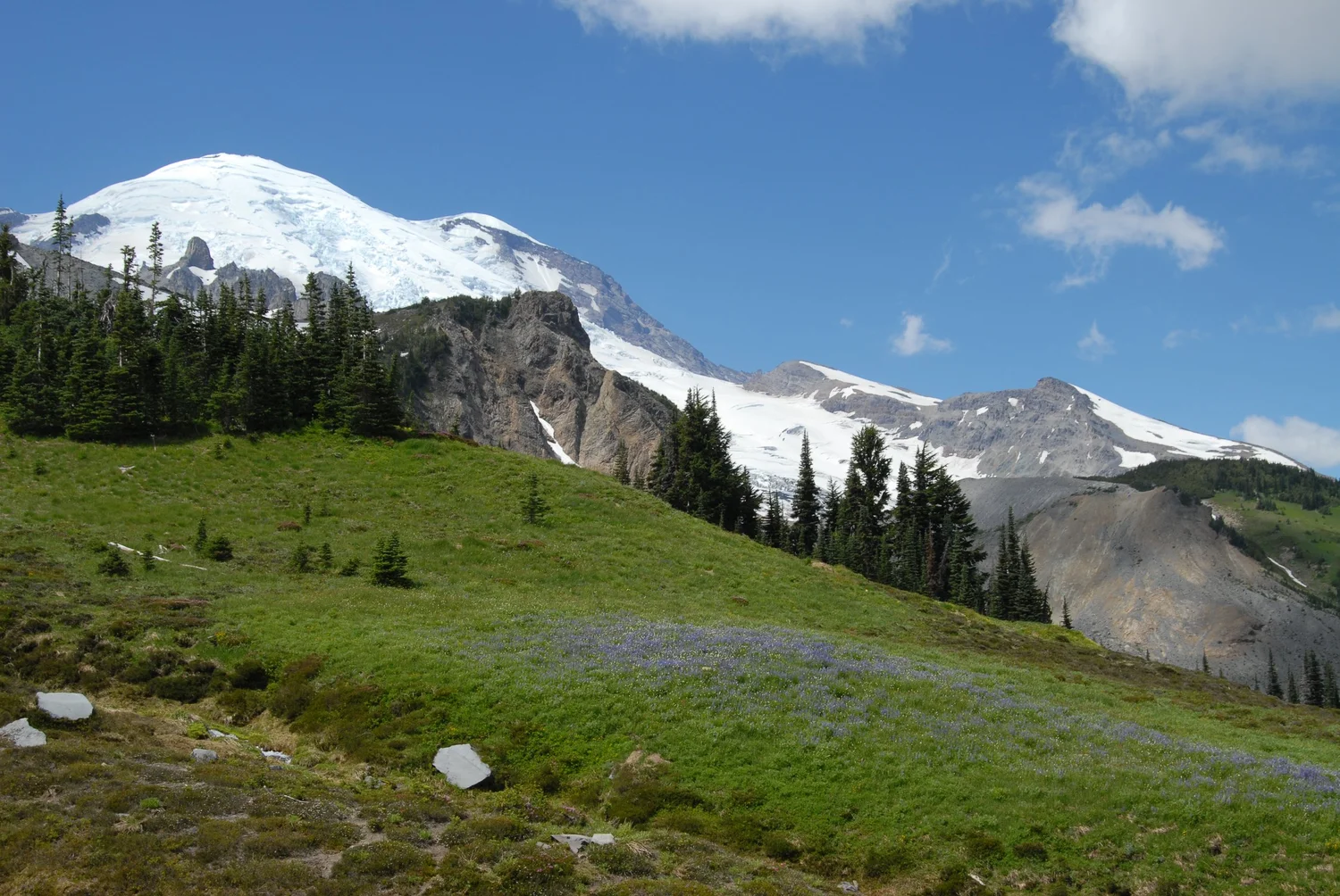 Tom's Top Ten Wildflower Hikes in Mt Rainer National Park