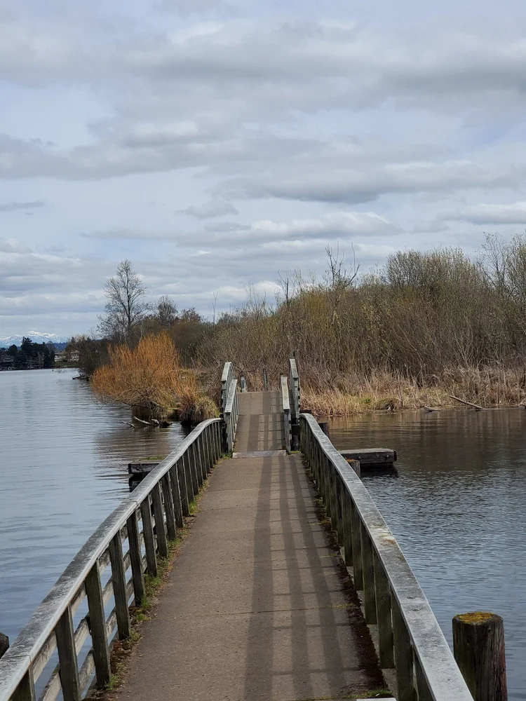 Lesser-known Lakeside Walks (or runs) in and Around Seattle - Five ...