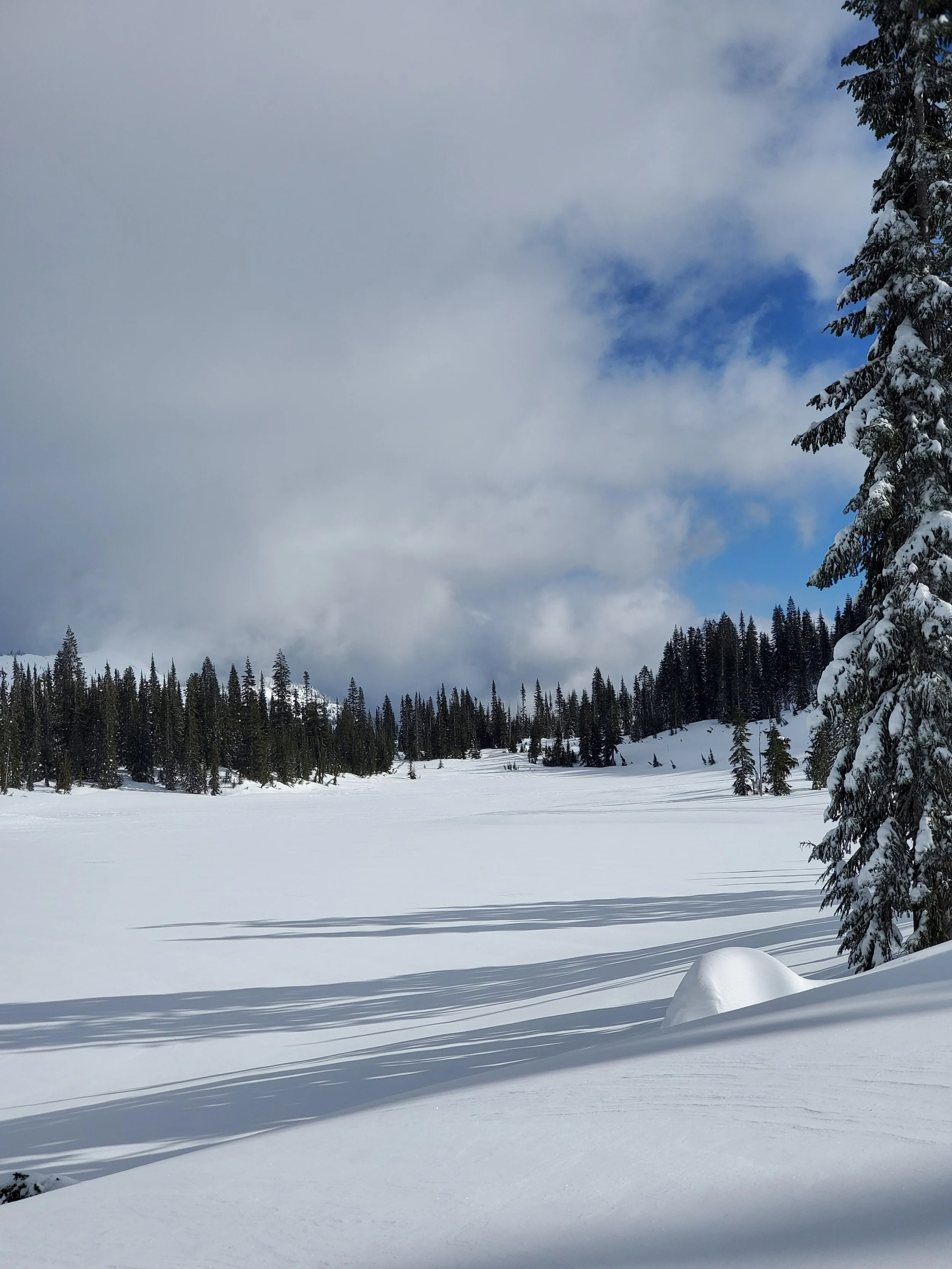 Top Six Snowshoe Spots in Western, WA