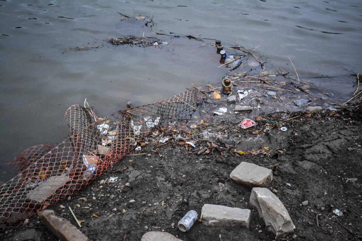 Lake Pollution Runoff
