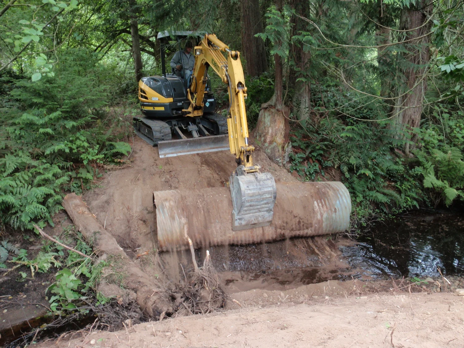 Salmon Habitat Restoration | Sound Salmon Solutions