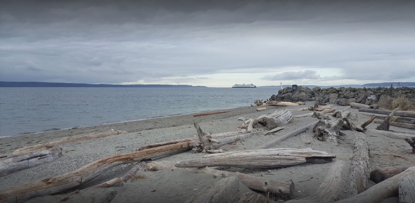 Are Dogs Allowed At Edmonds Beach