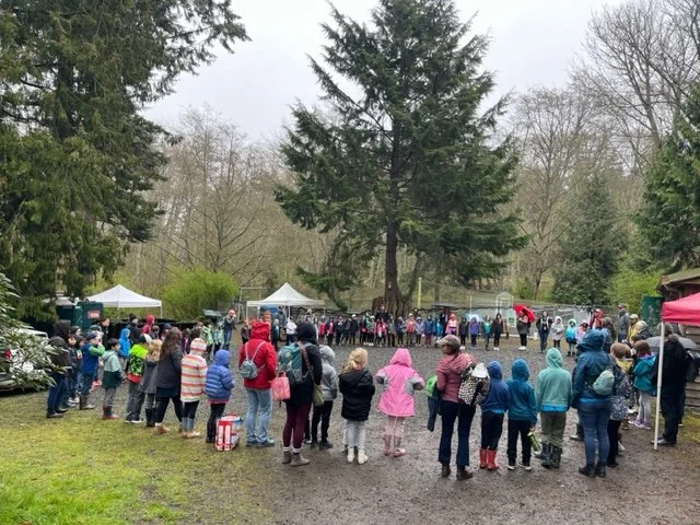 Salmon Habitat, Watershed & Restoration Education | Sound Salmon Solutions