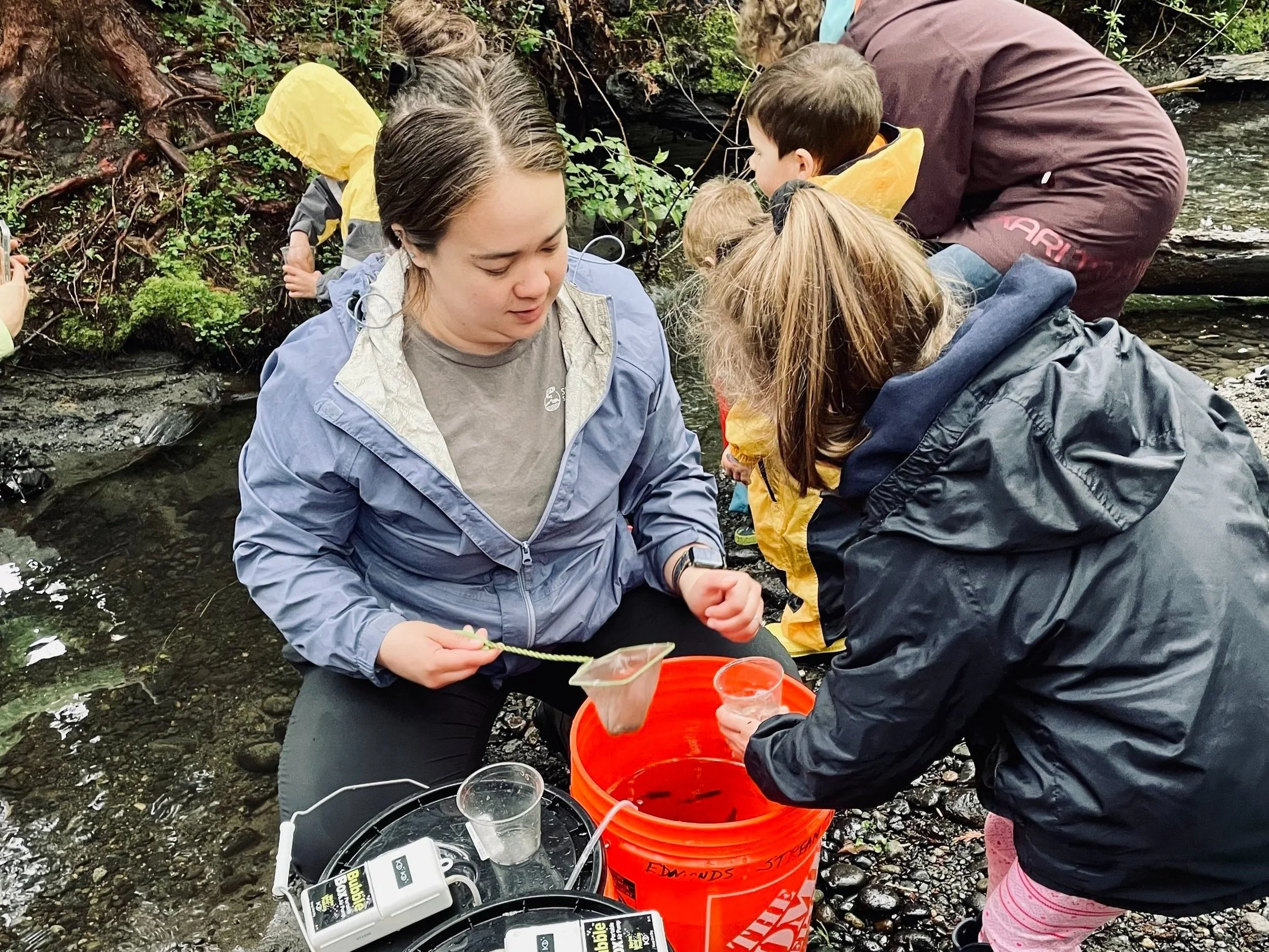 Ensuring The Future Of Salmon Sound Salmon Solutions