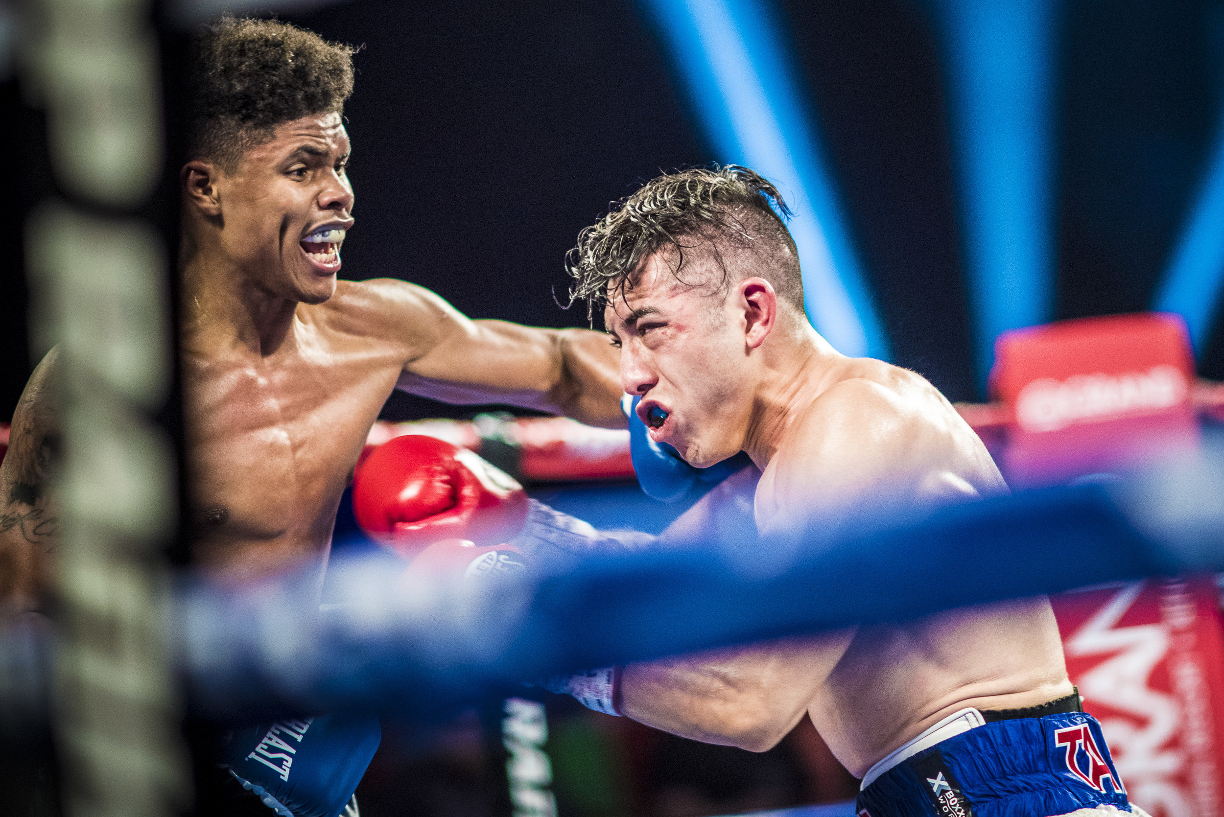 Boxing — Drew Amato