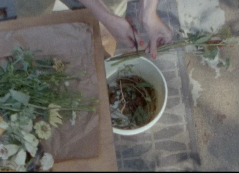 Home- Frayed Knot Farm