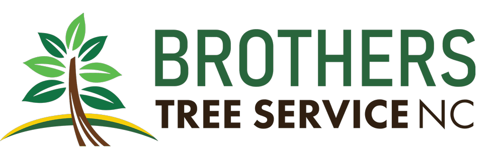 Brothers Tree Service union county and Charlotte North Carolina
