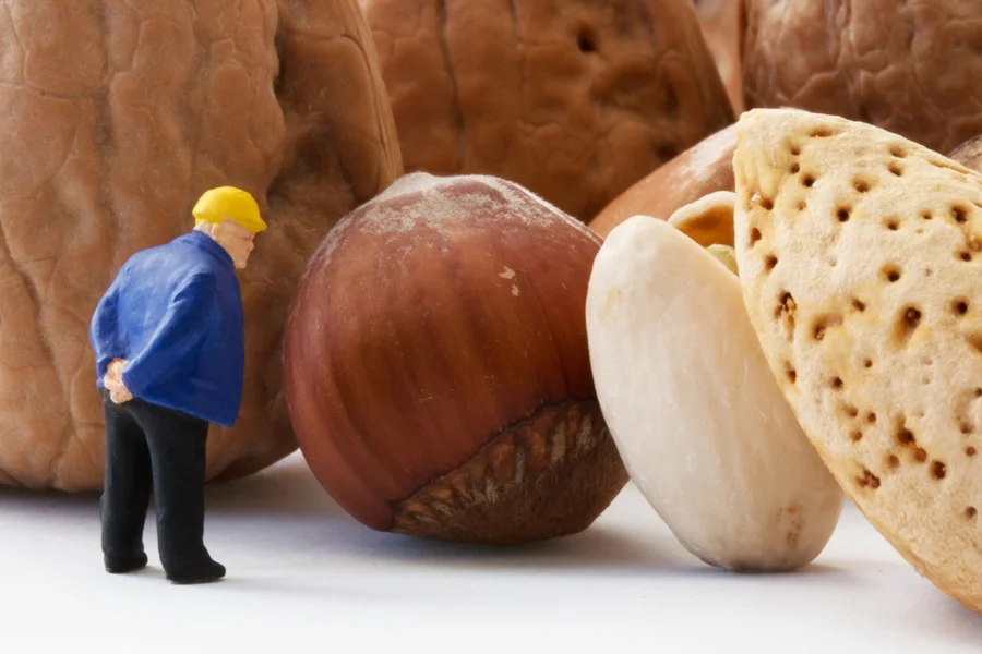 GALLERY SHOP — Tiny People Big Laughs