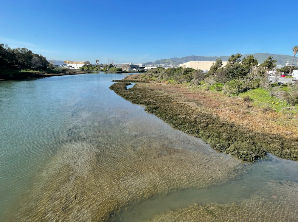 Upcoming Events — San Bruno Mountain Watch