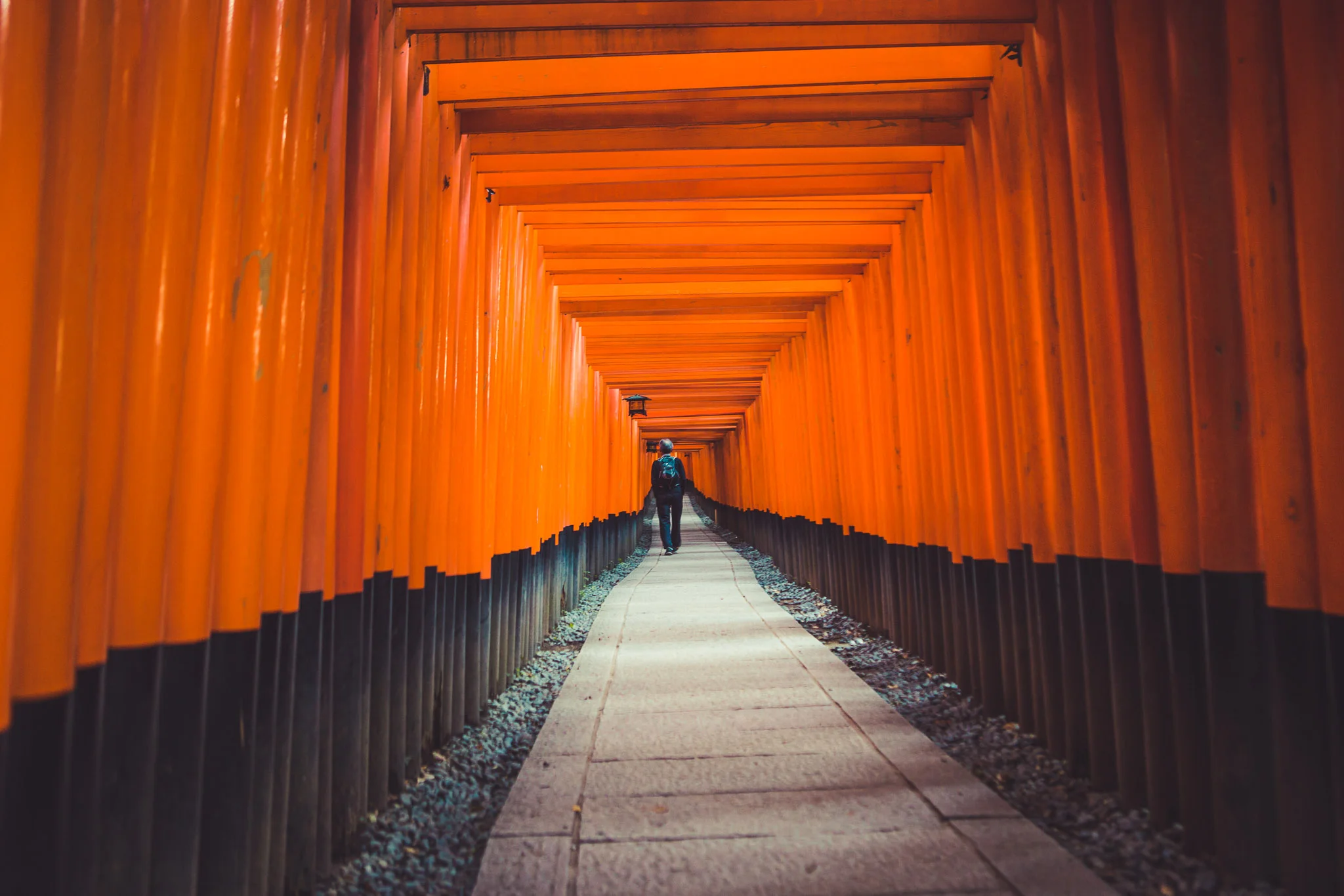 Japan Photo Tours