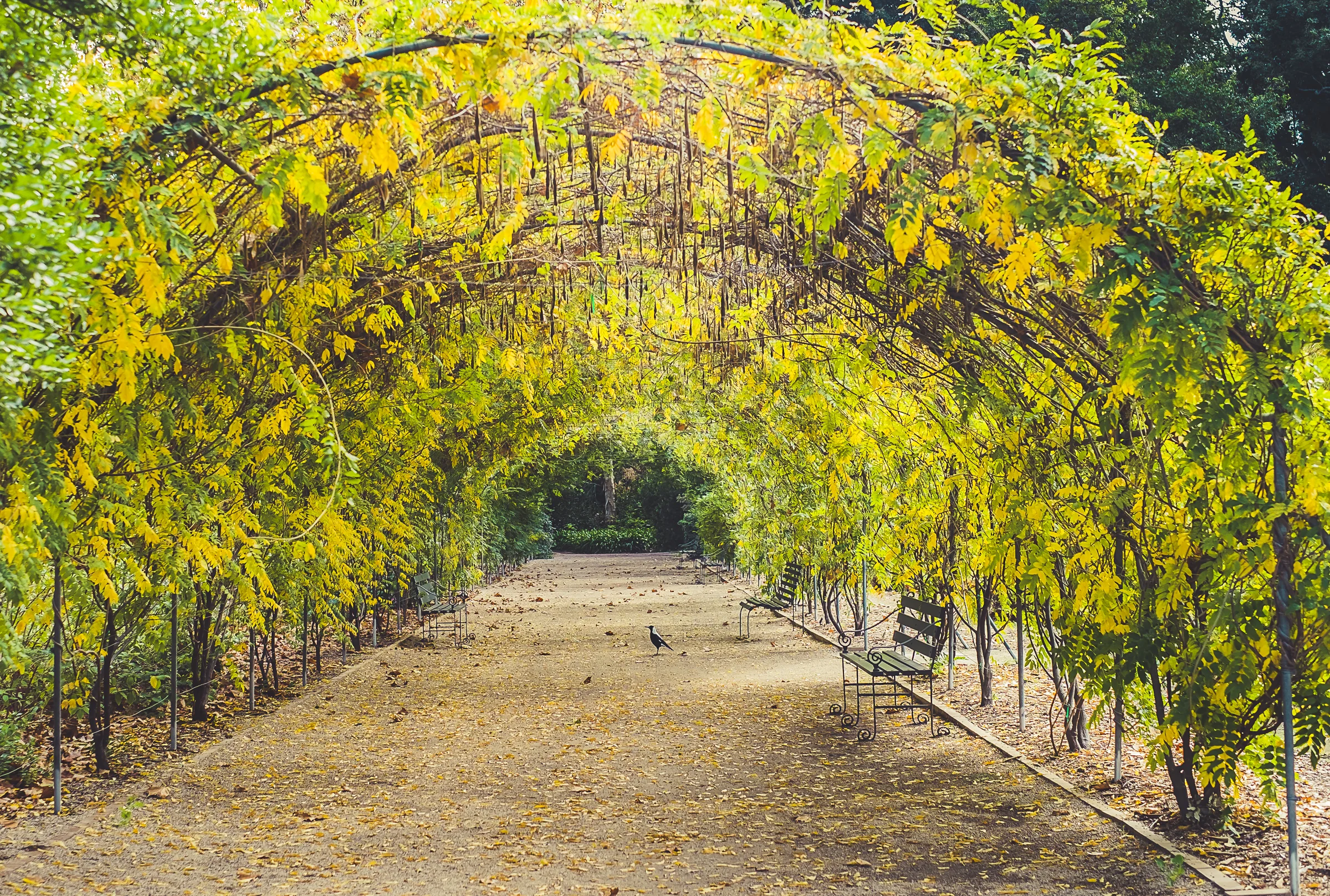 Adelaide Full Day Photo Course Photo Courses & Photo Tours