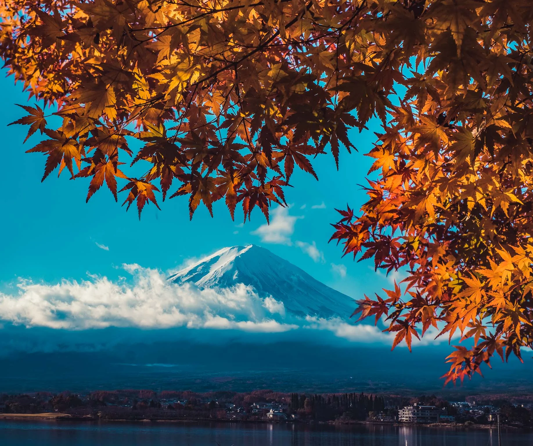 Japan Photo Tours 2025 Photo Courses & Photo Tours
