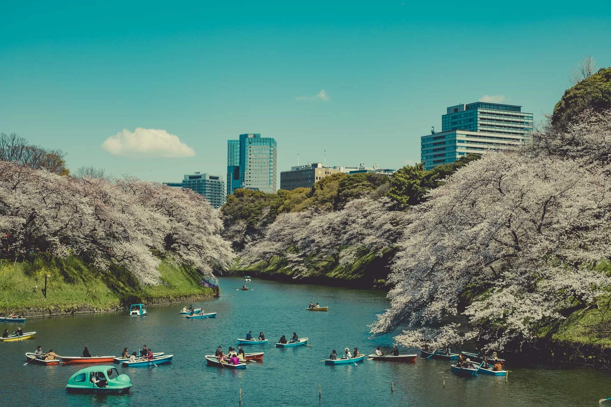 Japan Spring Photography Gallery Photo Courses & Photo Tours