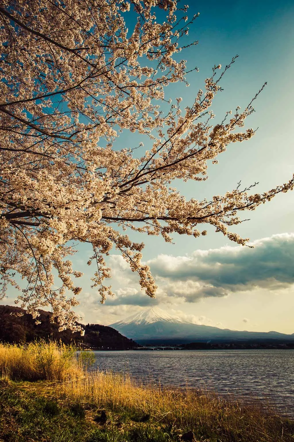 Japan Spring Photography Gallery Photo Courses & Photo Tours