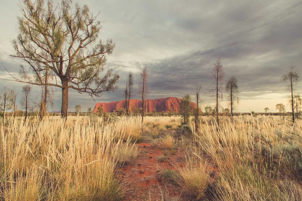 Uluru Ayers Rock & Kings Canyon Photo Courses & Photo Tours