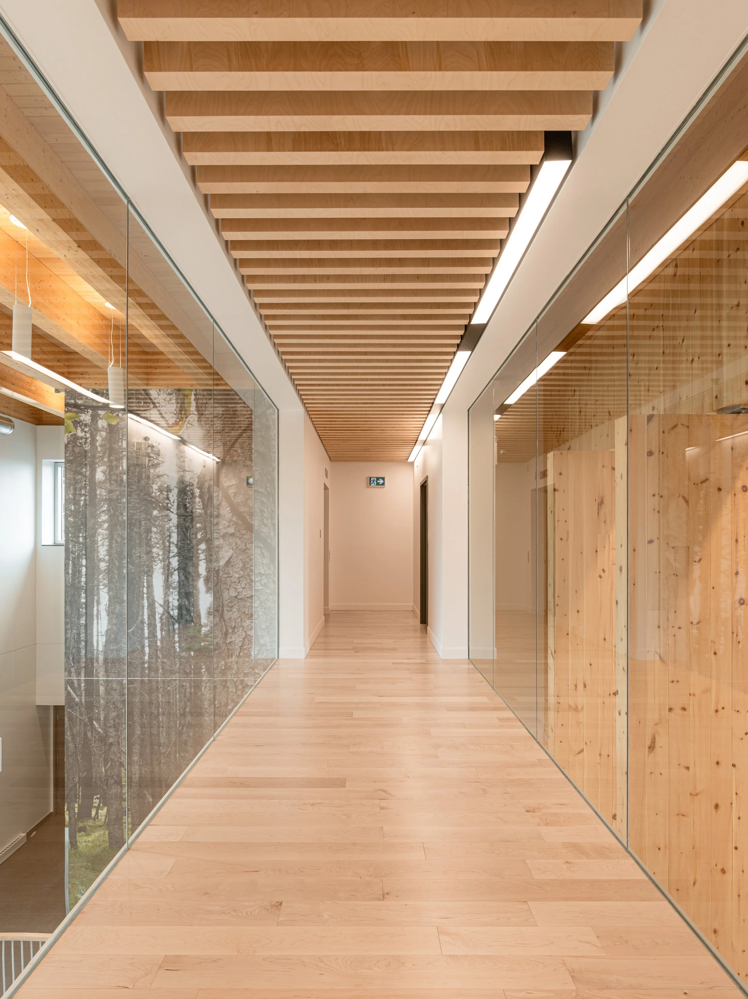 STGM Architecture — INDEX-DESIGN