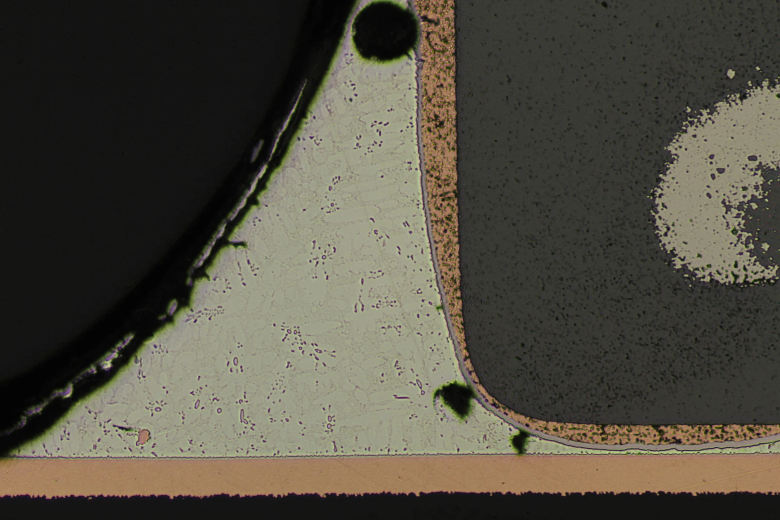 Circuit Board Cross Section Analysis/Micro-Sectioning — Elmet