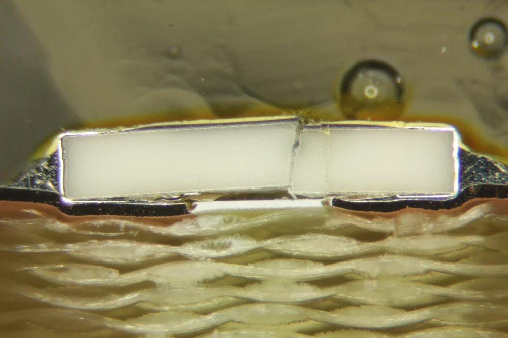 Cross-Sectional Analysis — Elmet