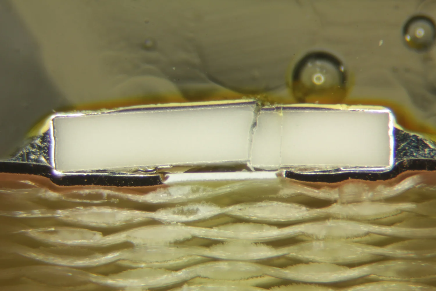 Cross-Sectional Analysis — Elmet