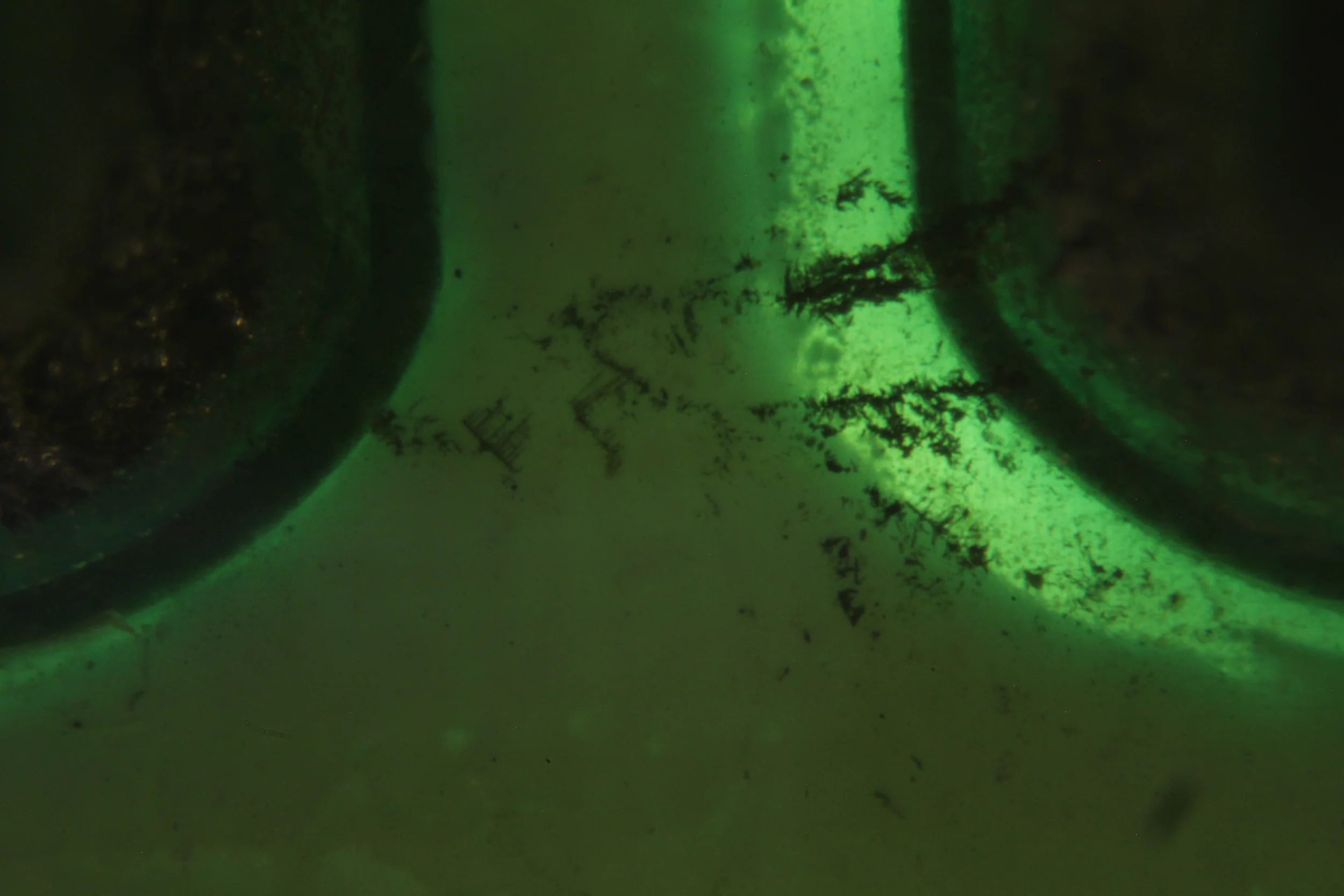 Dendrites/ Electrochemical Migration — Elmet