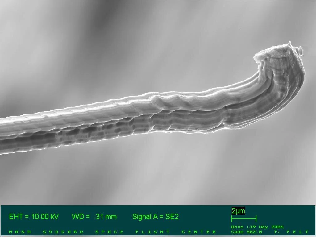 Tin Whisker Inspection & SEM Analysis | Elmet LLC Michigan — Elmet