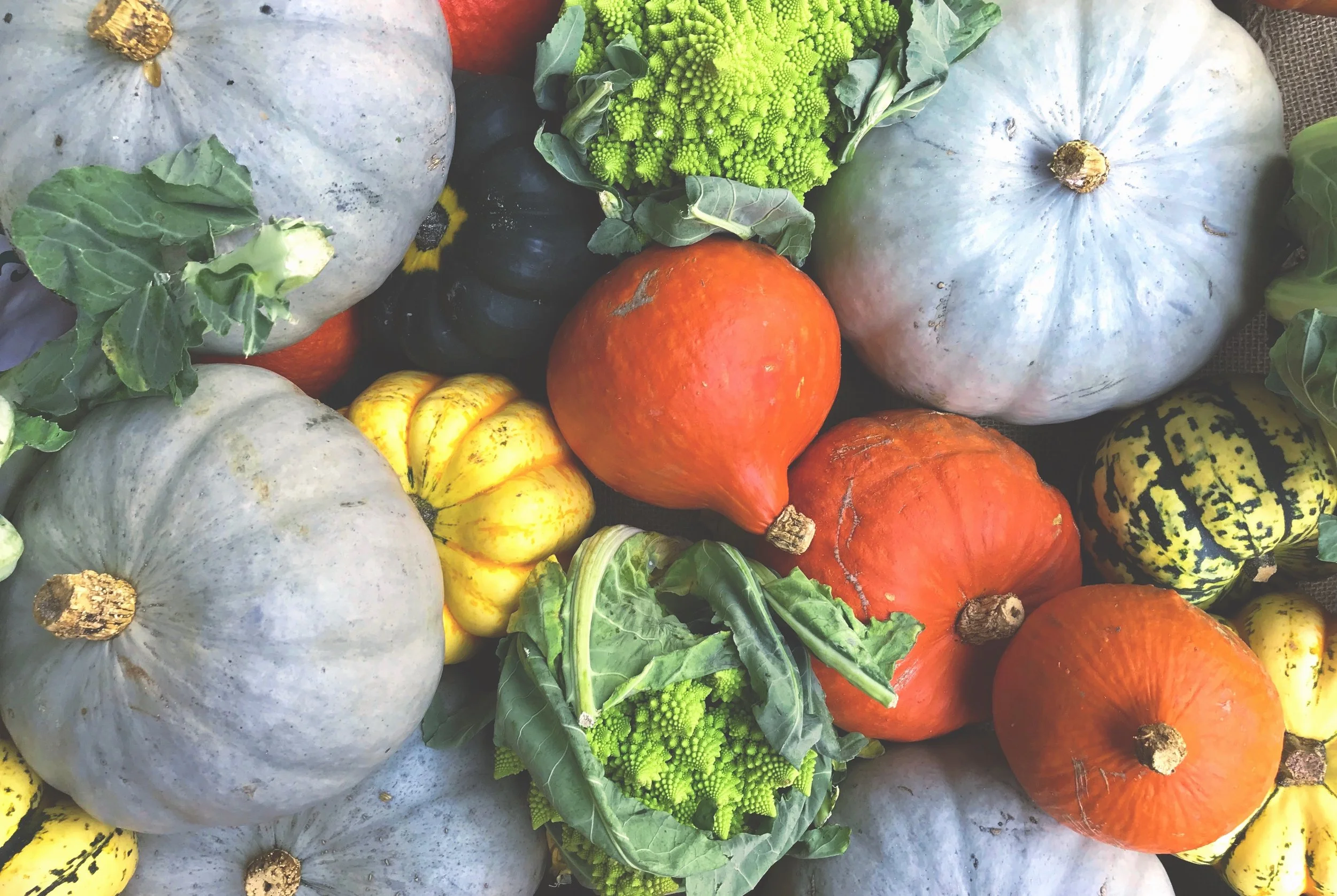 Fall's Best Fruit and Vegetables — Nourished Bite