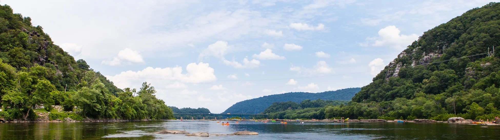 Booking and Contact — Mark Kovach Fishing Services