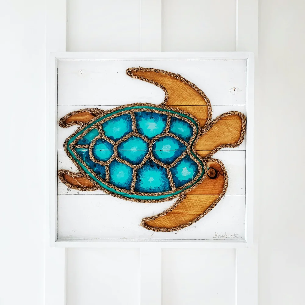 Turtle Drawing Dimension