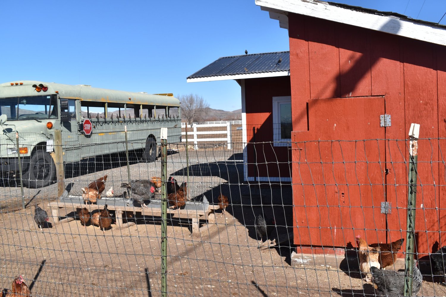 Behind the Barn Doors at the Andelin Family Farm — Our Town Reno