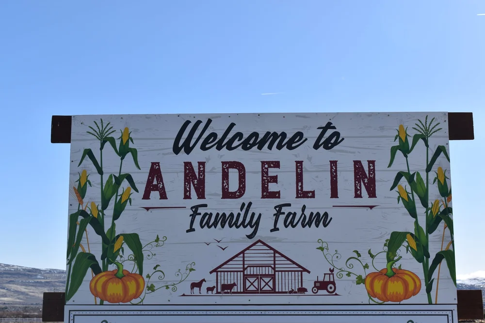 Behind the Barn Doors at the Andelin Family Farm — Our Town Reno