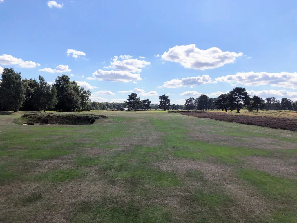 Walton Heath Golf Club (Old) | Golf Course Review — UK Golf Guy