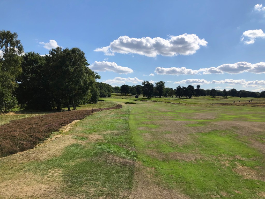 Walton Heath Golf Club (Old) | Golf Course Review — UK Golf Guy