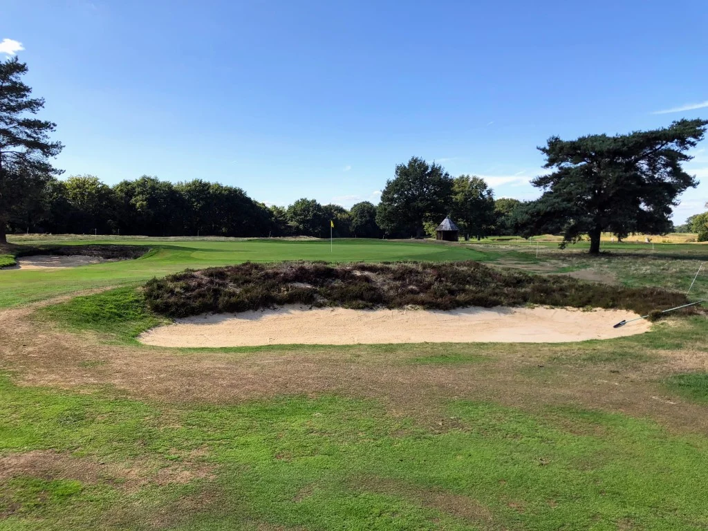 Walton Heath Golf Club (Old) | Golf Course Review — UK Golf Guy
