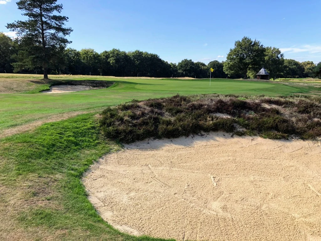 Walton Heath Golf Club (Old) | Golf Course Review — UK Golf Guy