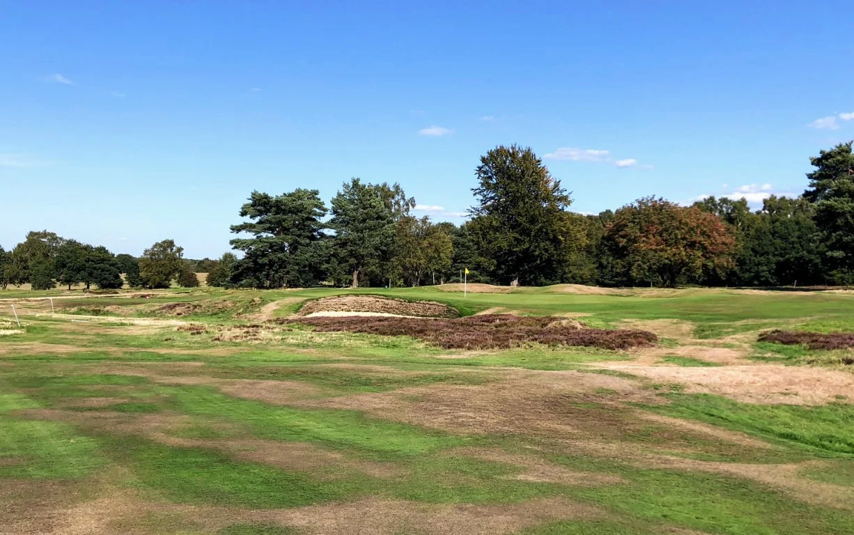Walton Heath Golf Club (Old) | Golf Course Review — UK Golf Guy
