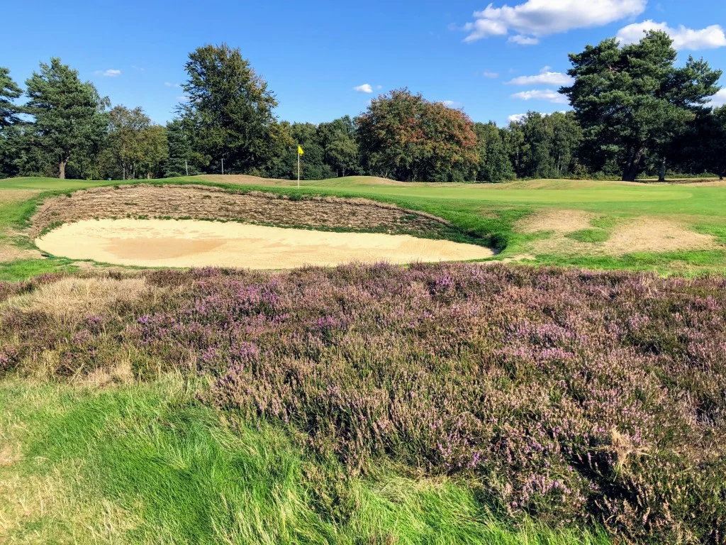 Walton Heath Golf Club (Old) | Golf Course Review — UK Golf Guy