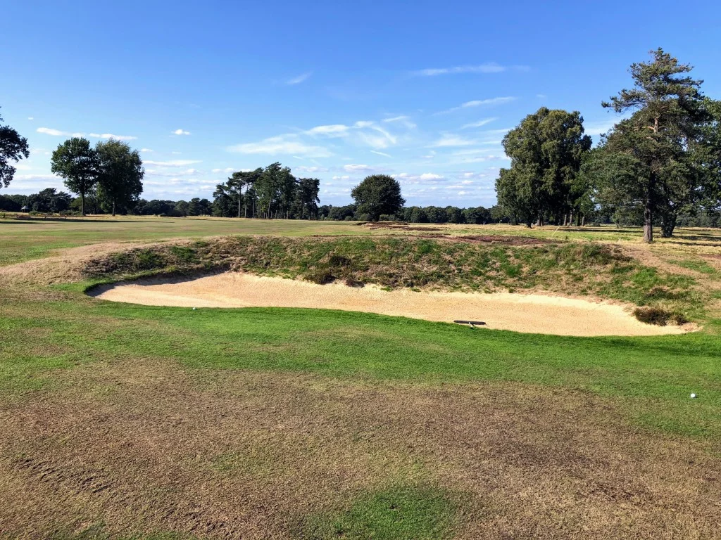 Walton Heath Golf Club (Old) | Golf Course Review — UK Golf Guy