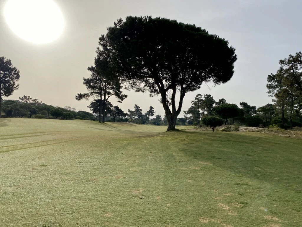 Troia Golf | Golf Course Review — UK Golf Guy