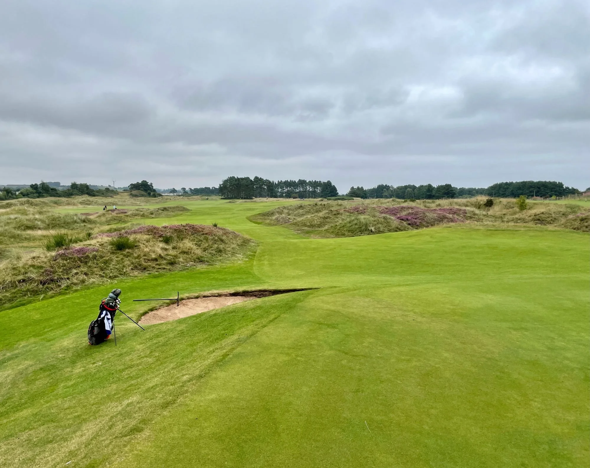 Panmure Golf Club | Golf Course Review — UK Golf Guy